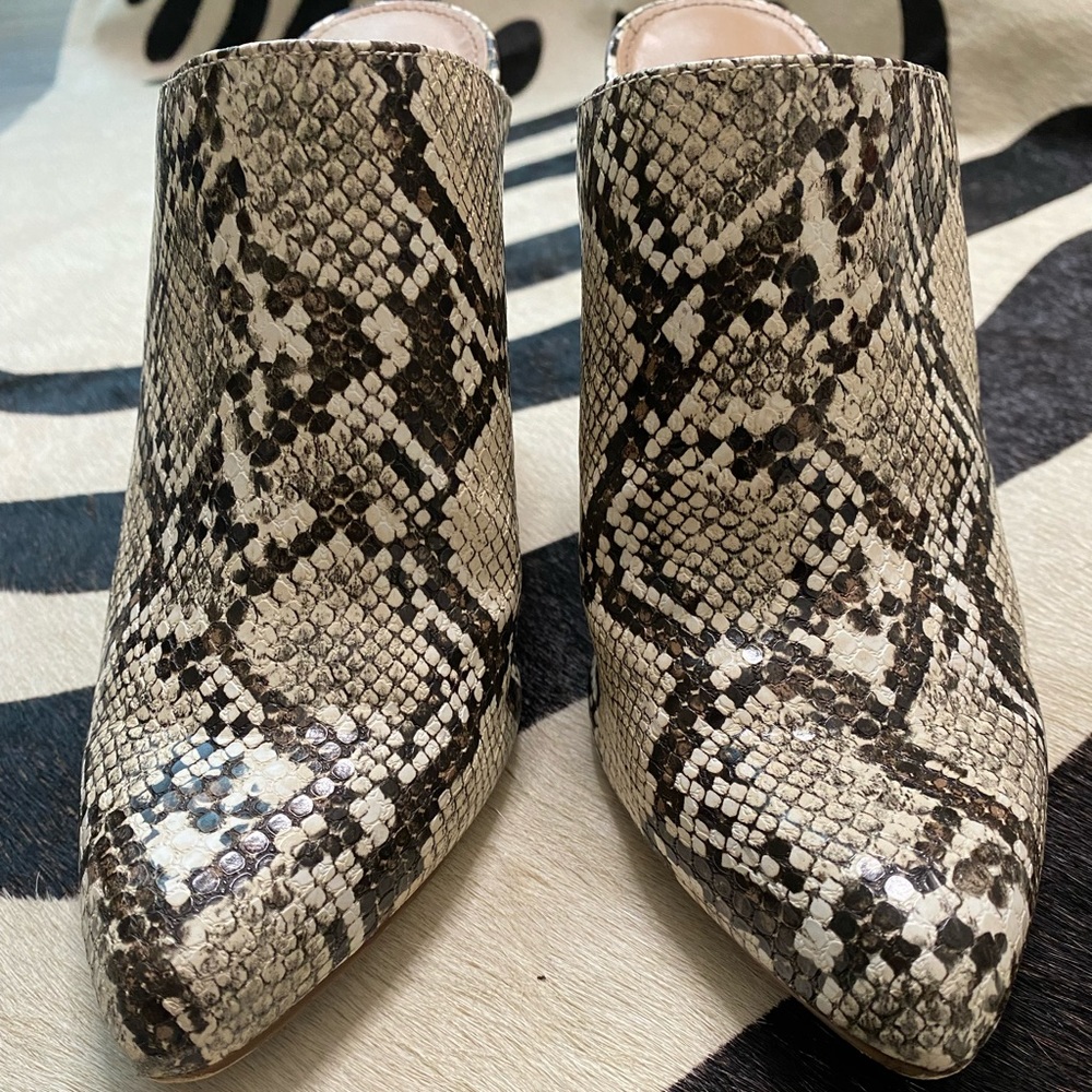 Steve Madden Snakeskin Heeled Mule - Gem